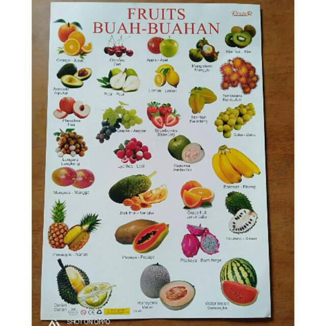Jual POSTER Edukasi Buah-buahan/ Fruits | Shopee Indonesia