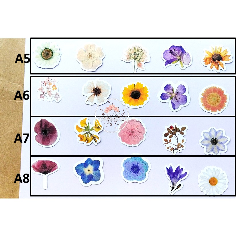 Jual Stiker Bunga Estetik Isi 5 pcs | Shopee Indonesia