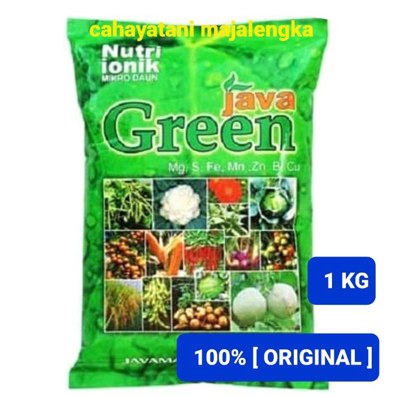 Jual JAVA GREEN 1KG | Shopee Indonesia