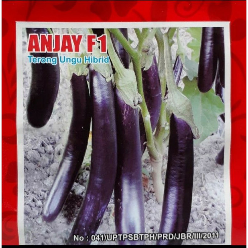 Jual Benih Terong Ungu unggul ANJAY F1 isi 5 Gram Produk JAWARA SEED | Shopee Indonesia