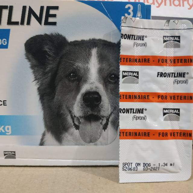 Jual Frontline Dog M ( 10 kg - 20 kg ) Obat Kutu Anjing Tetes ( Harga ...