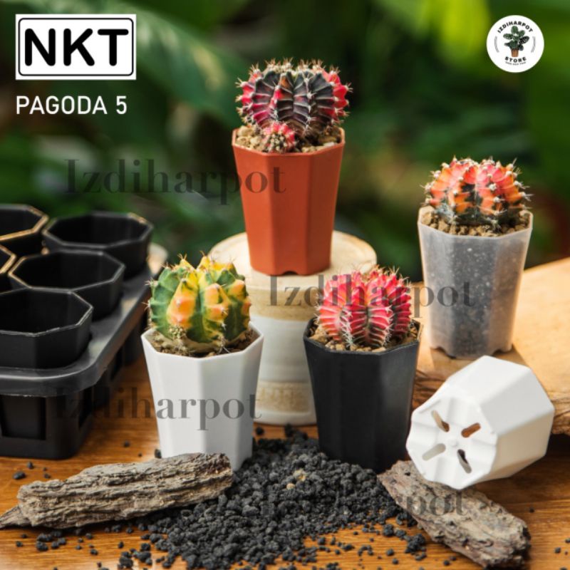 Jual POT BUNGA TANAMAN MINI NKT PAGODA 5 BENING TRANSPARAN - NKT PAGODA ...