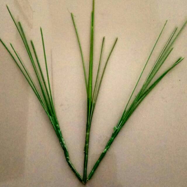 Jual Tangkai Bunga Artificial cabang 5 | Shopee Indonesia