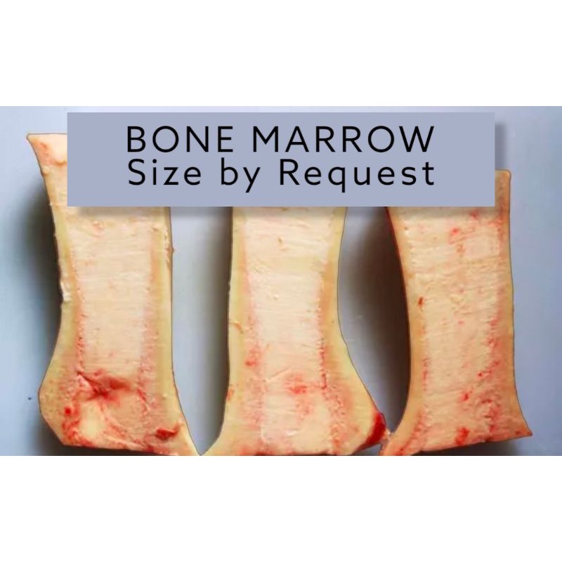 Jual Bone Marrow AUS | Shopee Indonesia