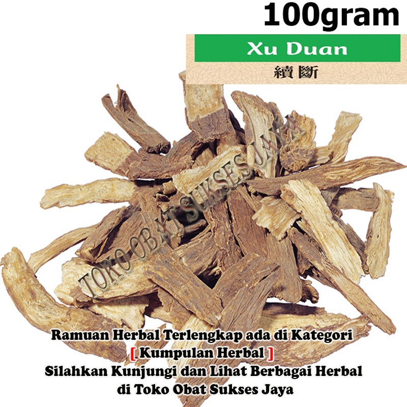 Jual [100gram] Xu Duan - Radix Dipsaci | Shopee Indonesia