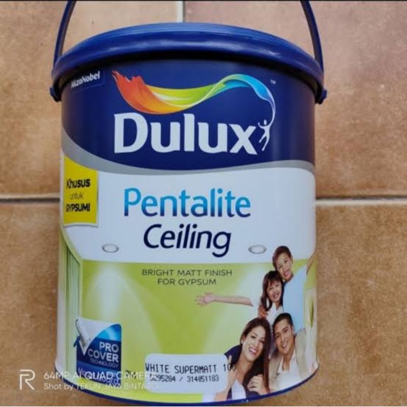 Jual DULUX PENTALITE CEILING 5KG WHITE SUPERMATT 108 | Shopee Indonesia