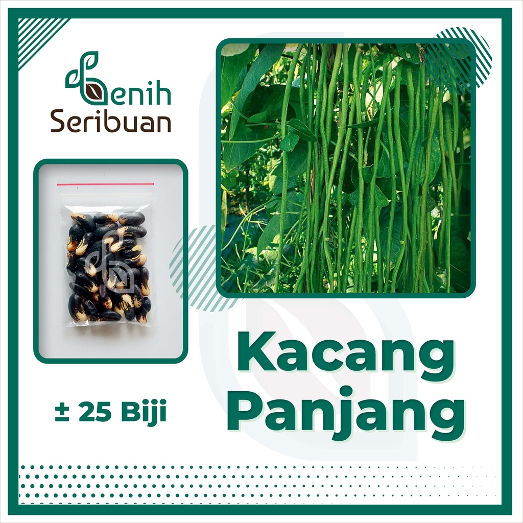Jual 25 Biji - Benih Kacang Panjang Sabrina Hitam F1 Unggul Berkualitas ...