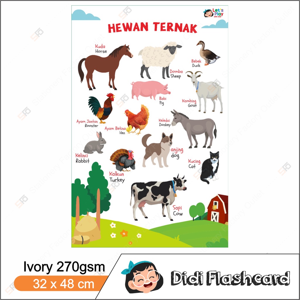 Jual Poster Hewan Ternak - Poster Belajar Edukasi Anak Bilingual Animal ...