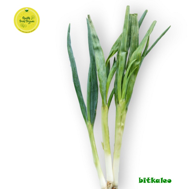 Jual Daun Bawang Organik 200 gr (PO) | Shopee Indonesia