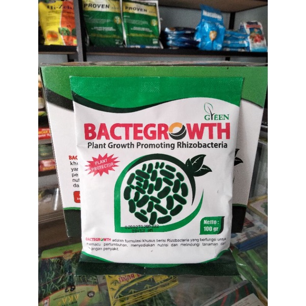 Jual BACTEGROWTH ( Plant Growth Promoting Rhizobacteria ) | Shopee ...