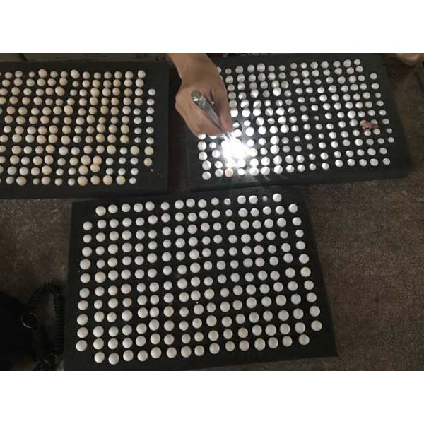 Jual Telur Walet (Tidak Bisa COD !!!!!! ) Telur Walet Asli / Telur ...