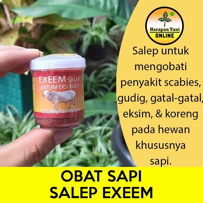 Jual Salep Exeem Sapi 10g | Obat Sapi | Mengatasi Eksim, Gudig, Scabies ...