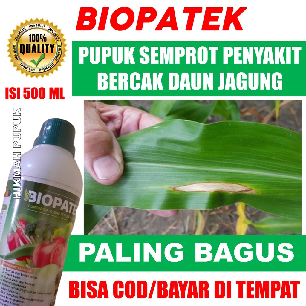 Jual TERLARIS PUPUK SEMPROT PENYAKIT BERCAK DAUN JAGUNG BIOPATEK 500 ML ...