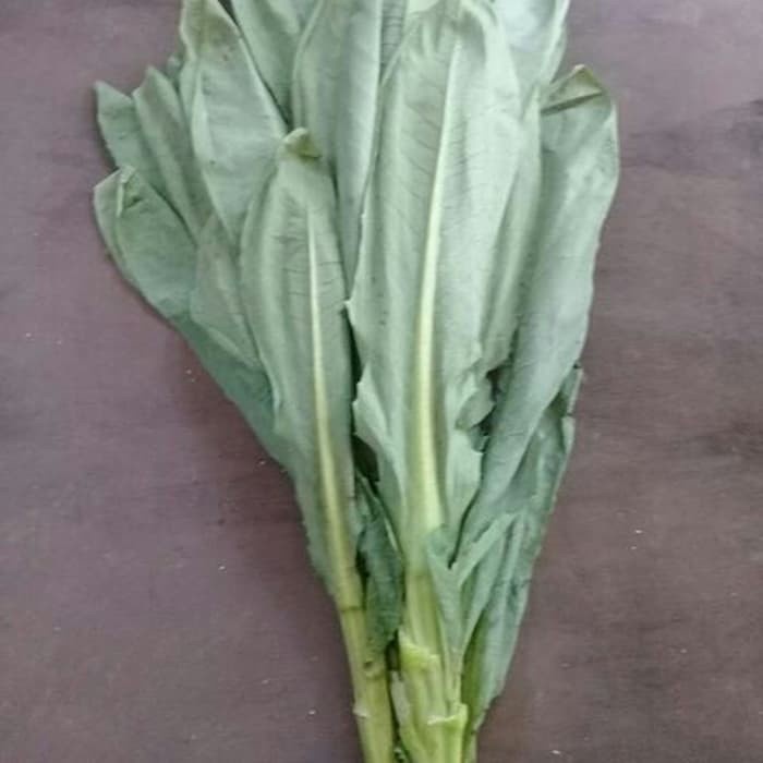 Jual 500gr Sayur Fumak 500gr Siomak Makanan Tortoise Kura Darat Sulcata ...