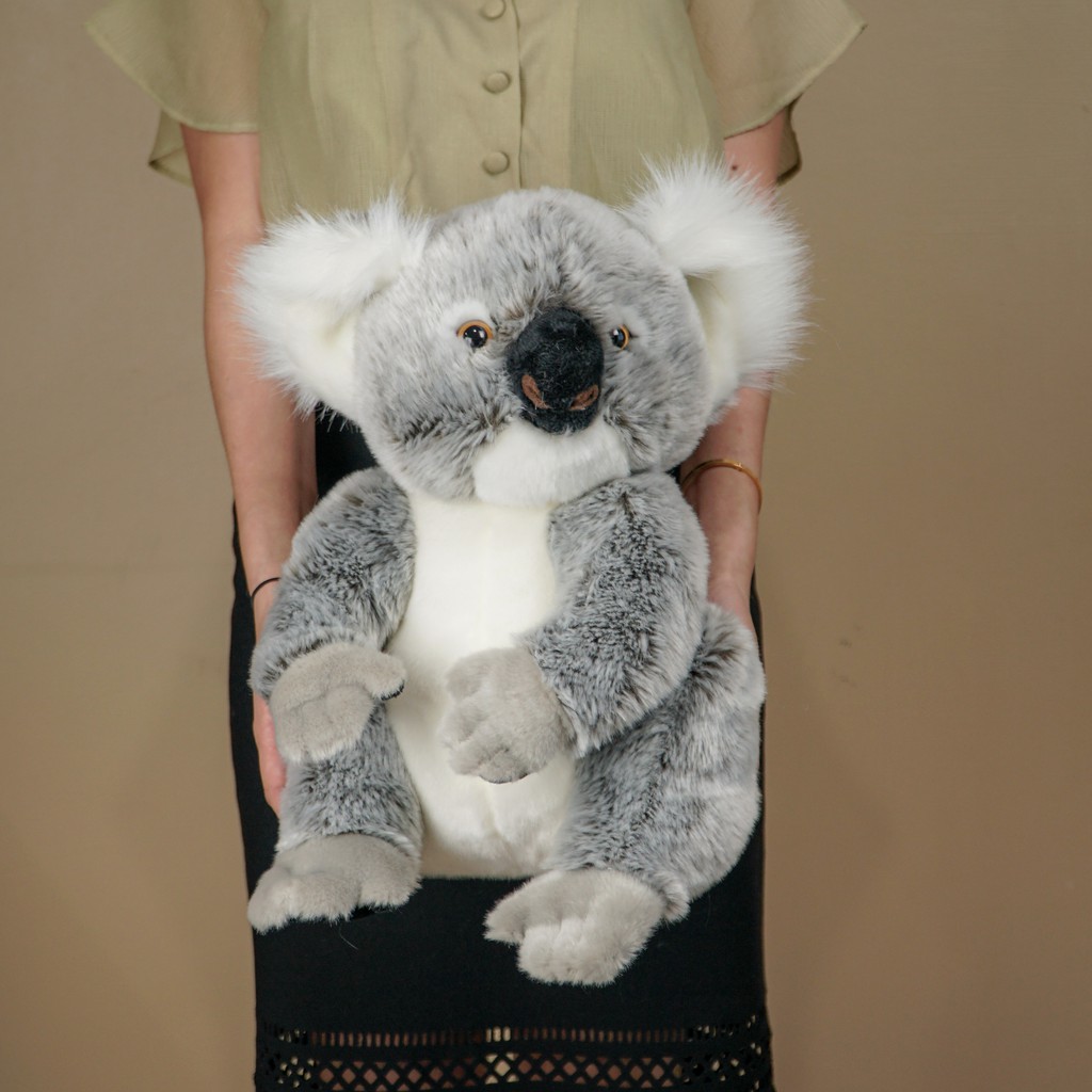Jual BONEKA KOALA CUTE REALISTIC/ KOALA DOLL CUTE MESSY HAIR - MEDIUM ...