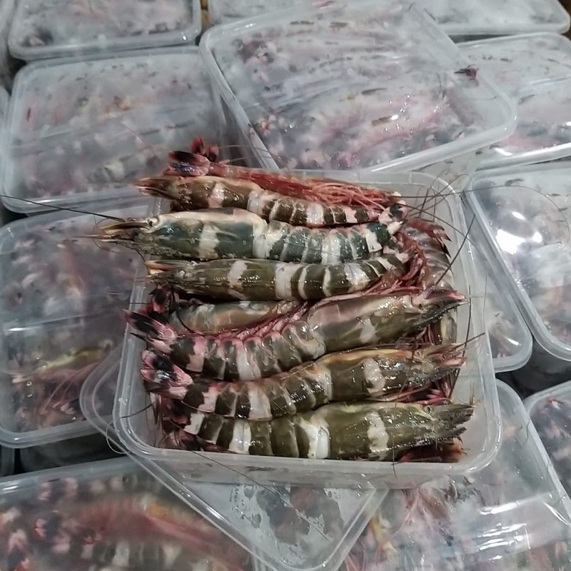 Jual Udang Windu Tiger 1kg | Shopee Indonesia