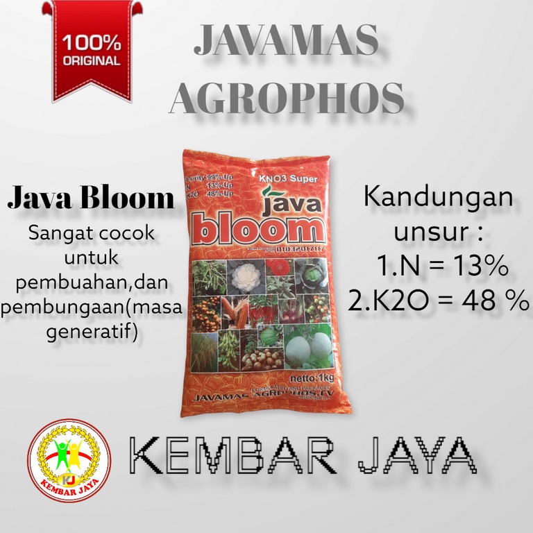 Jual JAVA BLOOM Pembuahan 1KG | Shopee Indonesia