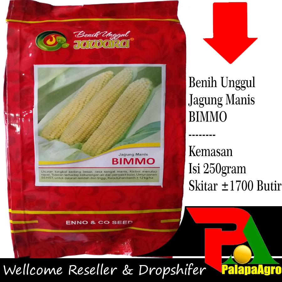 Jual Isi ±1700 Biji - Bibit Jagung Manis Super BIMMO 250gram - Benih Jagung Manis Super Unggul ...