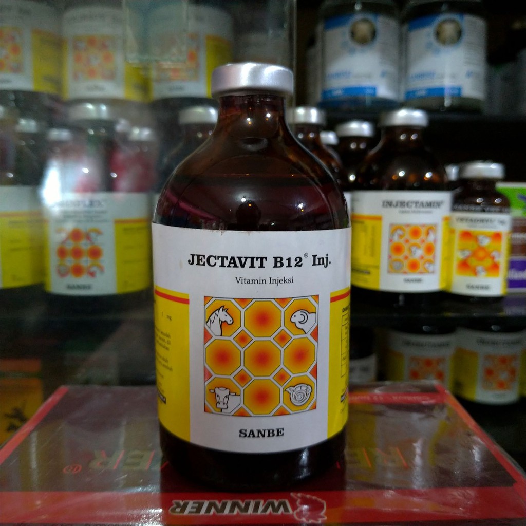 Jual JECTAVIT 100ml vitamin B12 untuk sapi kambing domba kuda | Shopee ...