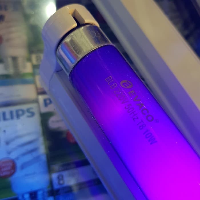 Jual Lampu UV UVA UV-A T8 Ultraviolet BLB 10W SET KOMPLIT 36cm Sensor Uang | Shopee Indonesia