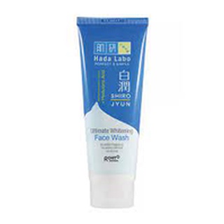 Jual HADALABO HADA LABO SHIROJYUN ULTIMATE WHITENING FACE WASH (BIRU ...