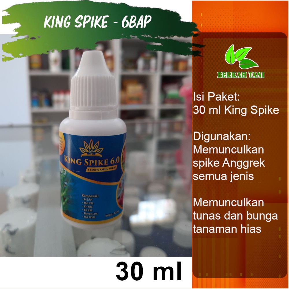 Jual King Spike 30 ml 6 BAP benzylaminopurine | Shopee Indonesia