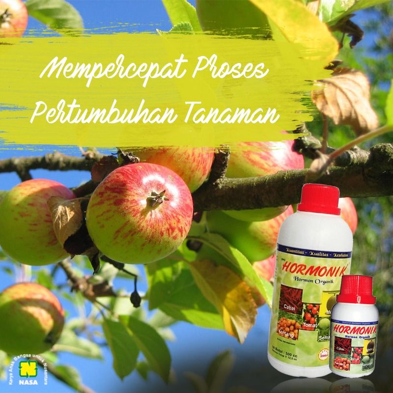 Jual Perangsang Akar tanaman hormon perangsang tumbuh tanaman 100 cc ...