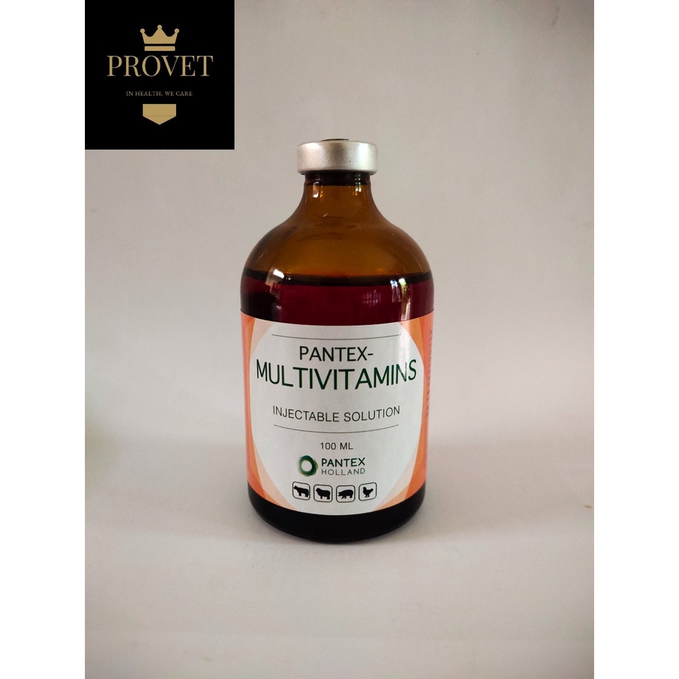 Jual PANTEX-MULTIVITAMINS INJEKSI 100 ML | Shopee Indonesia