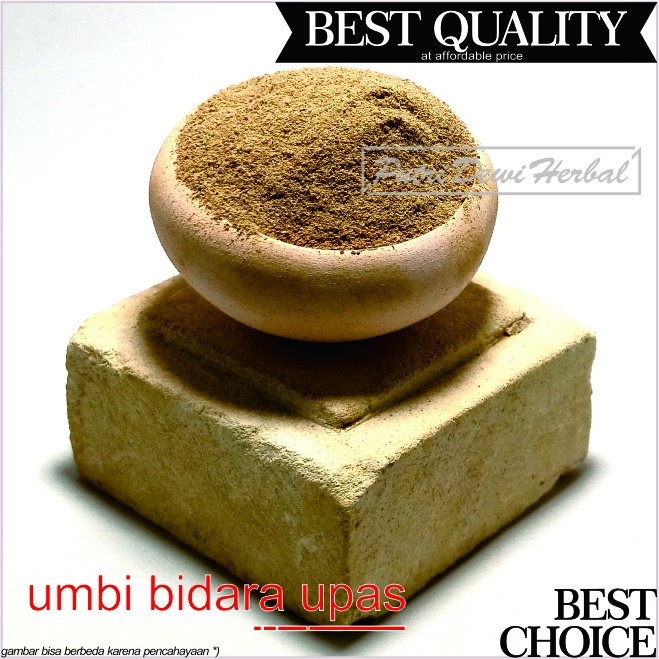 Jual Umbi Bidara Upas Bubuk 500 Gram - Serbuk Umbi Widara Upas ...