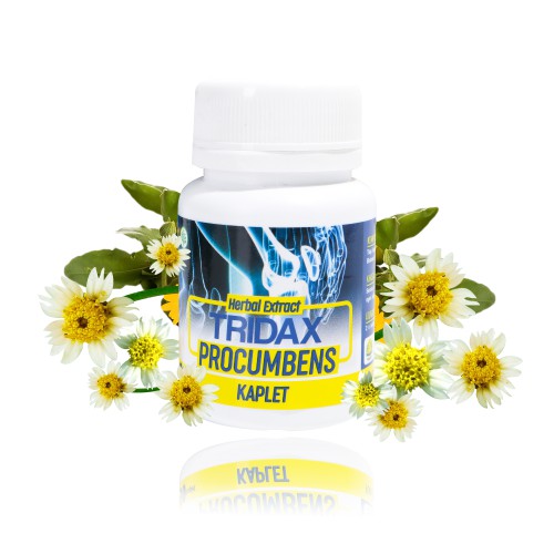 Jual TRIDAX PROCUMBENS | Shopee Indonesia