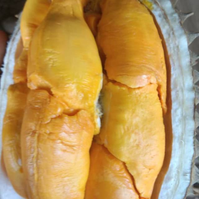 Jual Durian Kuning Mas | Shopee Indonesia