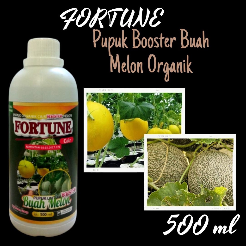 Jual Pupuk Organik Booster Melon, Pupuk Melon Hidroponik, Fortune Pupuk Organik Cair 500 ML ...