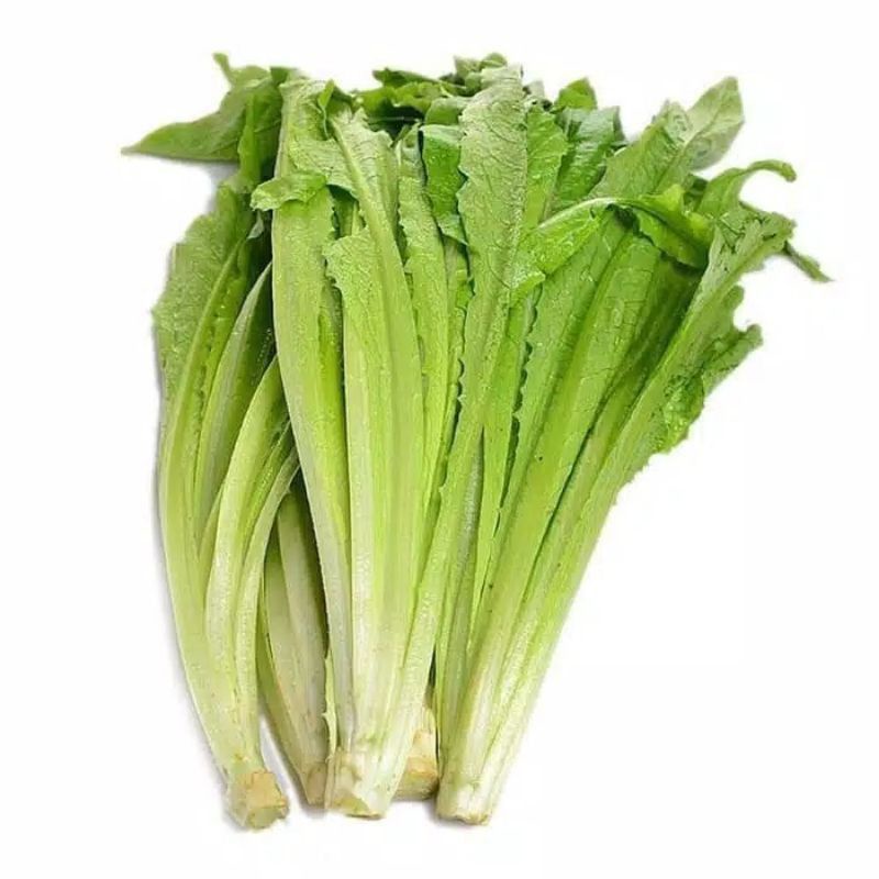 Jual siomak fumak selada wangi chinese lettuce | Shopee Indonesia