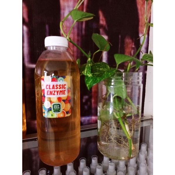 Jual Classic Enzyme 500ml | Shopee Indonesia