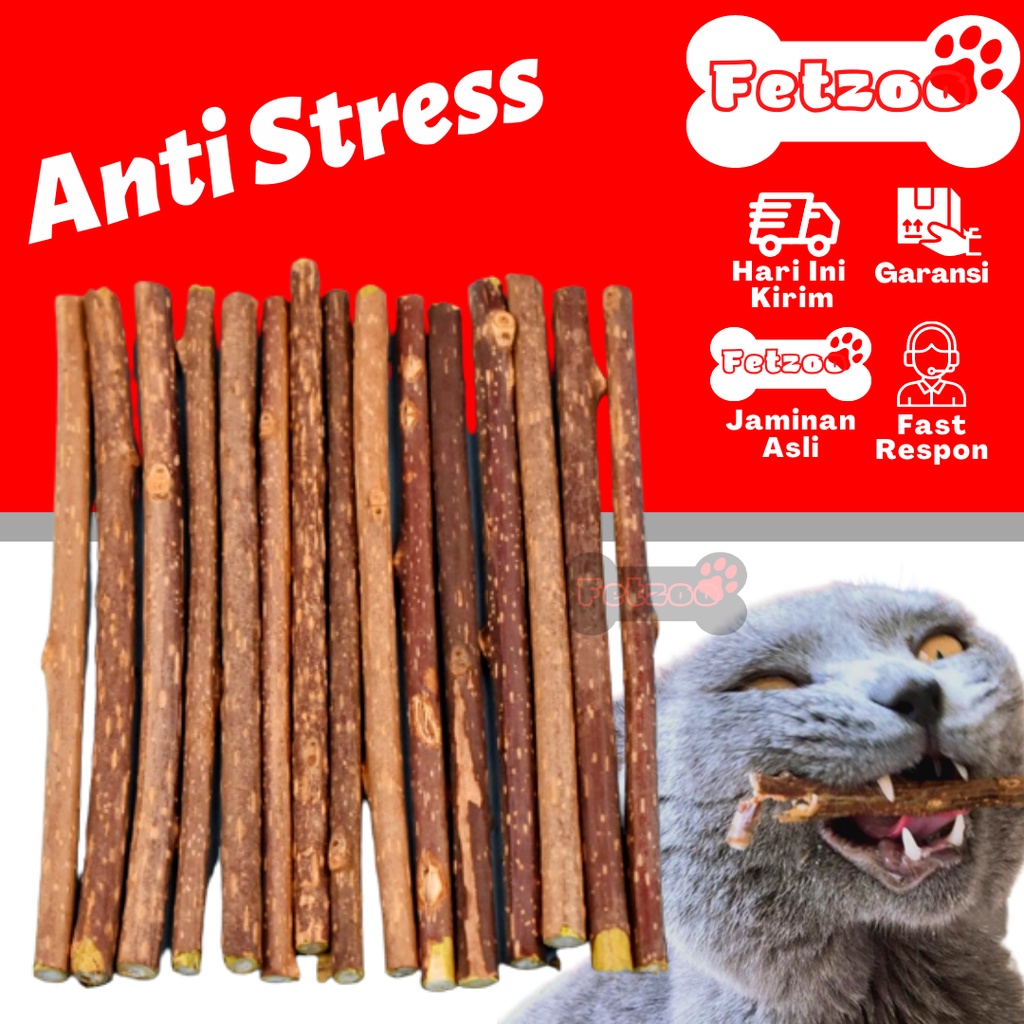 Jual CATNIP STICK MATABI - Catnip Snack Makanan Cemilan Kucing Kitten ...