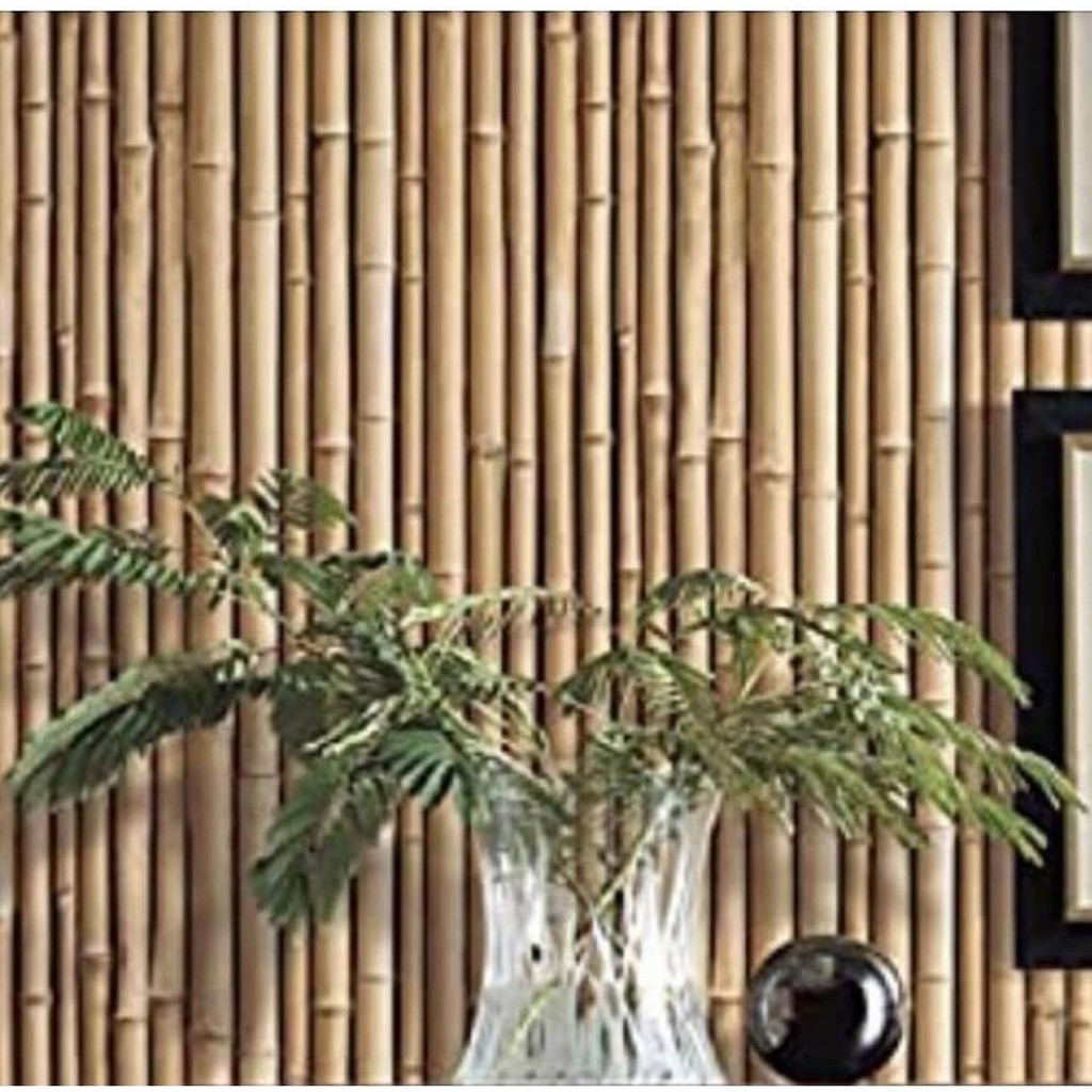 Jual WALLPAPER DINDING MOTIF BATANG BAMBU COKLAT 10M X 45CM | Shopee ...