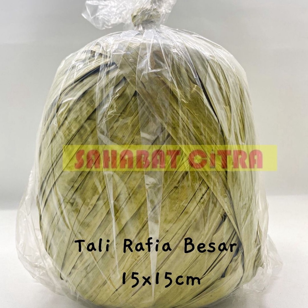 Jual TALI RAFIA/ TALI PELASTIK/TALI IKAT BESAR 大绳子（塑料） | Shopee Indonesia