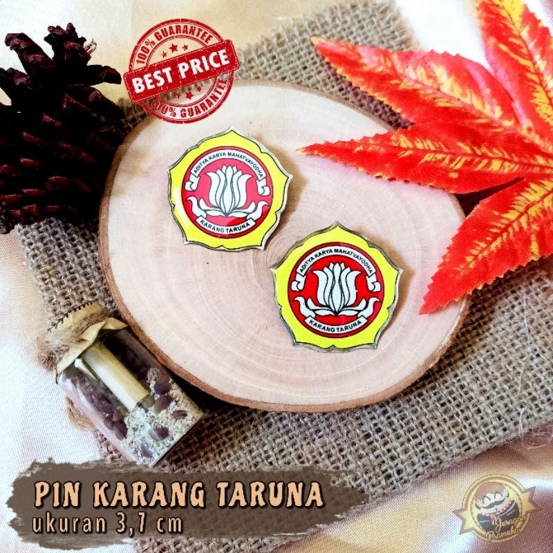 Jual Pin karang taruna ukuran resmi 3.7cm ( peniti/magnet ) | Shopee ...