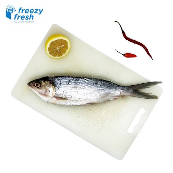 Jual Bandeng Cabut Duri (Milk Fish) 350 Gram | Shopee Indonesia
