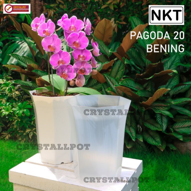 Jual Pot bunga tanaman nkt pagoda 20 bening transparan - PAGODA 20 ...
