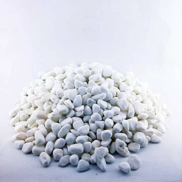 Jual Batu koral putih italik per 1 kg | Shopee Indonesia