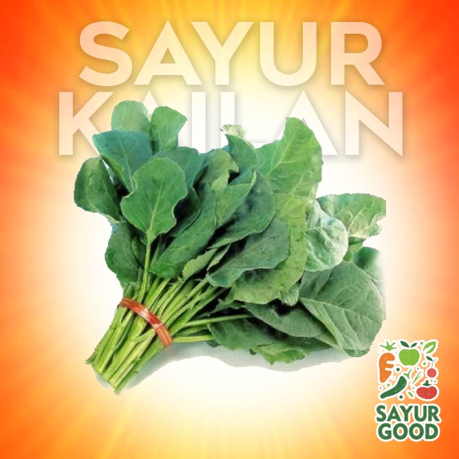 Jual Sayur Kaylan / Kailan / Baby Kaylan / Ikat (Sayur Segar) | Shopee ...