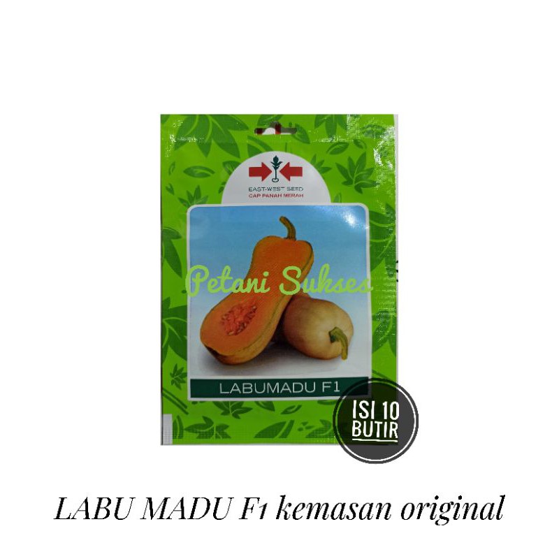 Jual (SP 10 butir) Bibit benih sayuran butternut LABU MADU F1 10S SP ...