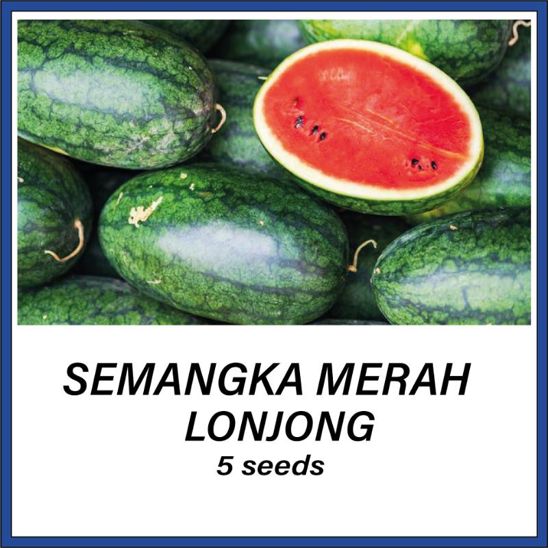 Jual 5 SEMANGKA MERAH LONJONG | Shopee Indonesia