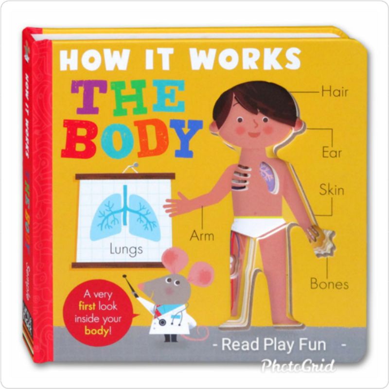 Jual How It Works My Body Board Book | Shopee Indonesia