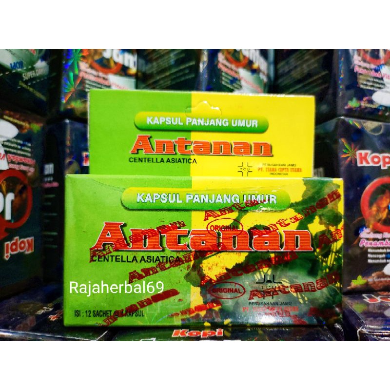 Jual Antanan kapsul panjang umur asli | Shopee Indonesia