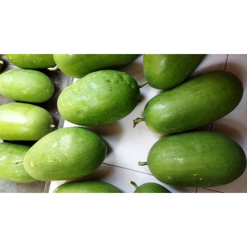 Jual buah bligo/kundur 1,1-1,5kg (ukuran kecil) | Shopee Indonesia