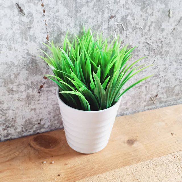 Jual RUMPUT SINTETIS BUNGA PLASTIK DAUN TANAMAN PALSU HIAS | Shopee ...