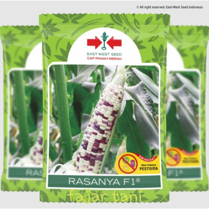 Jual Benih jagung RASANYA f1 isi 1800 butir bibit original cap panah ...