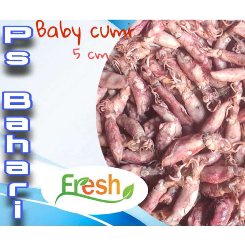 Jual Baby Cumi Asin fresh khusus sameday instan | Shopee Indonesia